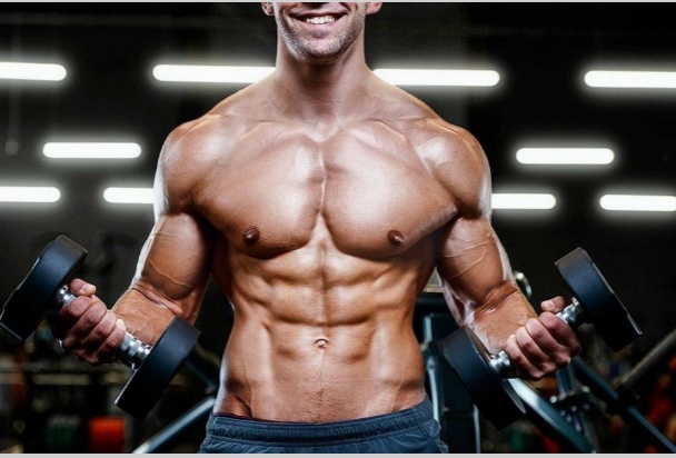 Killer Home Muscle-Building Exercises to Transform Your Body At Home